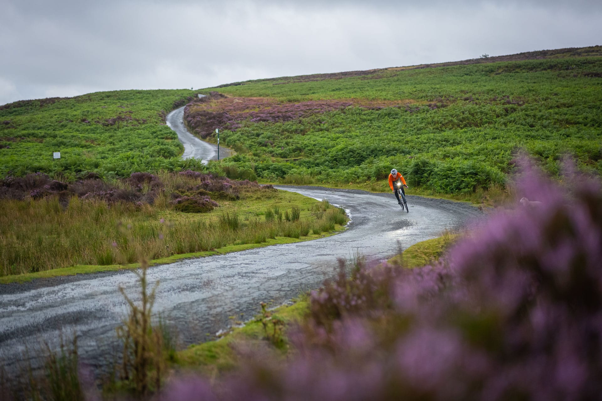 On The Edge – Molly Weaver 2025 - Follow My Challenge