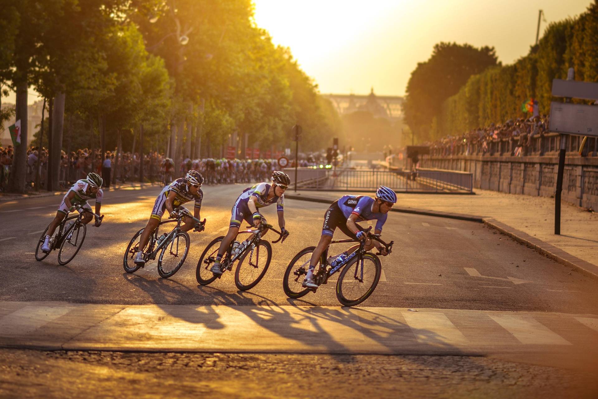 Safety-Focused GPS Tracking in Cycling - Follow My Challenge